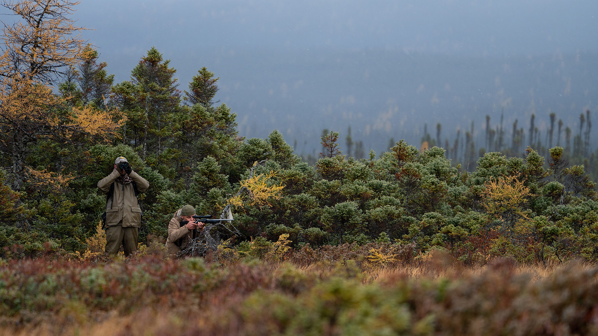 Arluk Outfitters – Big Game Hunting In Newfoundland